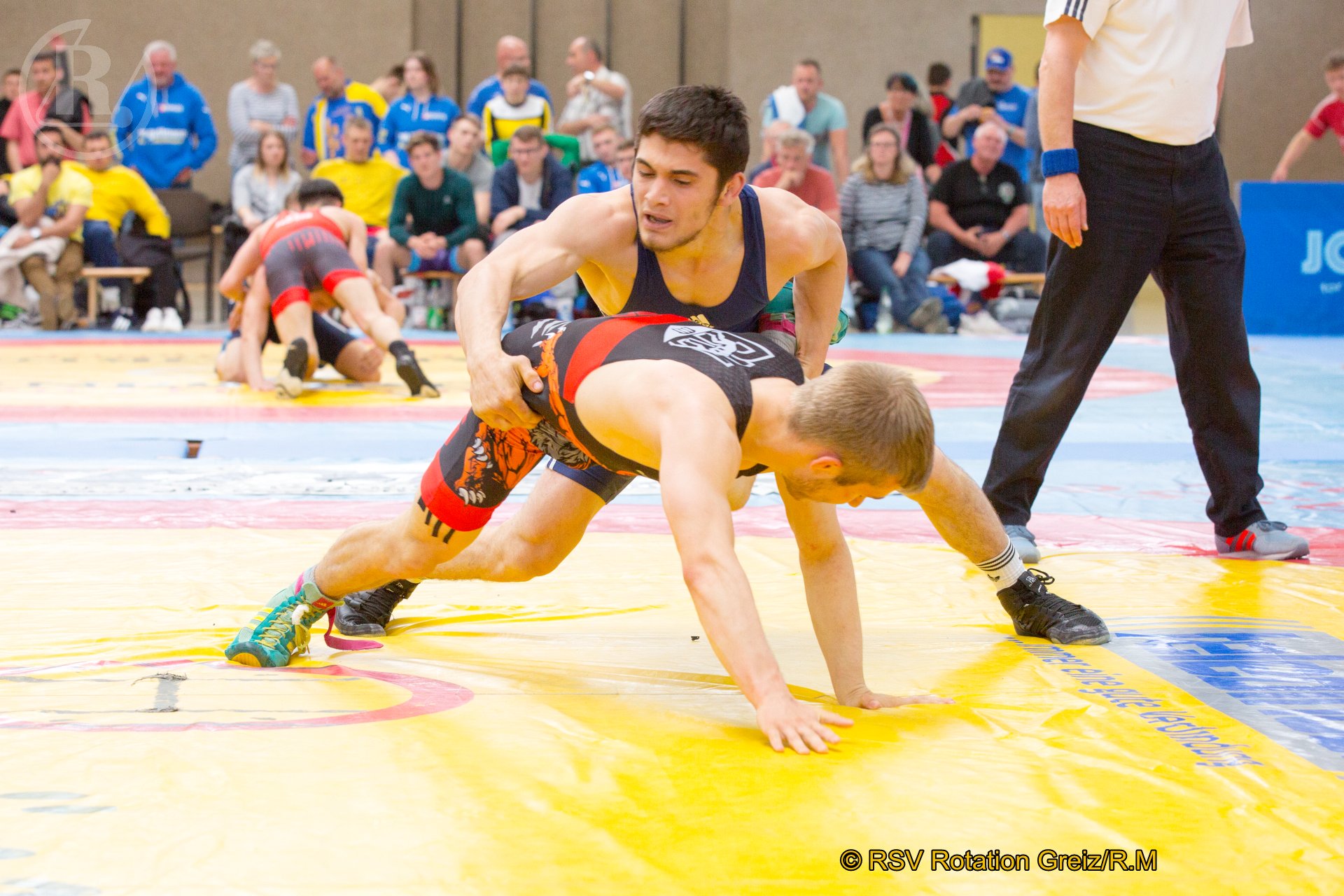 RSV Rotation Greiz: Greizer Ringer bei Mitteldeutschen Meisterschaften ...